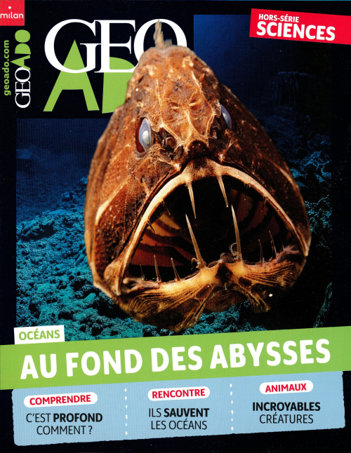 Direct-éditeurs - * Le service-client des diffuseurs de presse